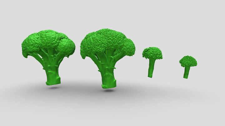 Comparison 3D models - Sketchfab