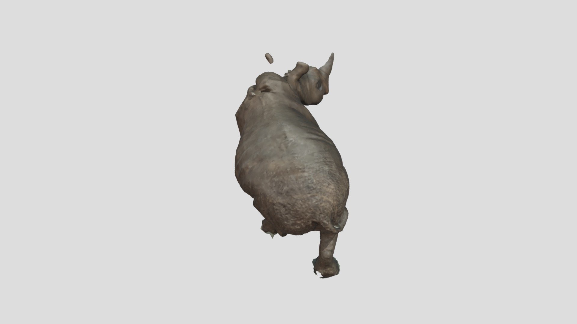 Rhino Render - Download Free 3D model by eminesimsek [310c8c0] - Sketchfab