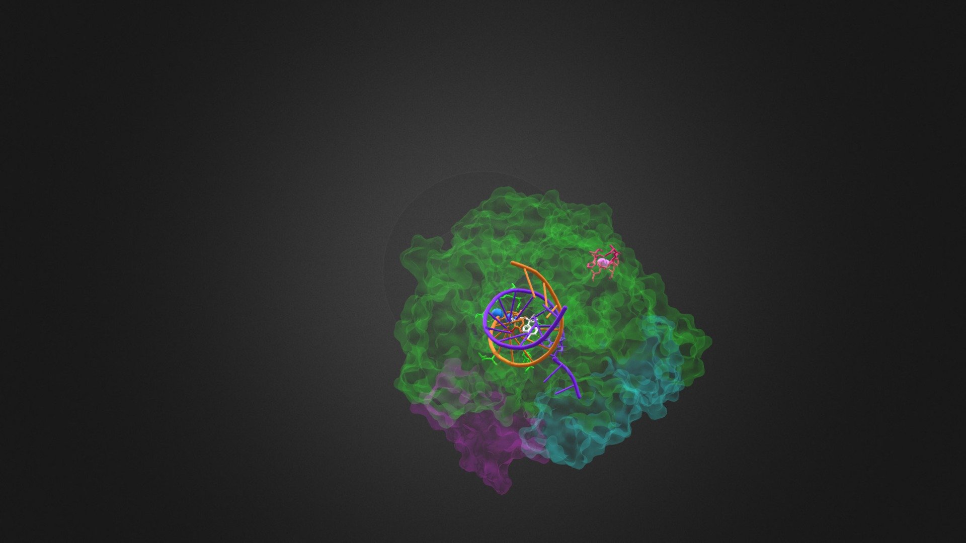 RNA-dependent RNA polymerase and Remdesivir - 3D model by Veena ...