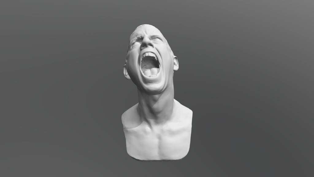 Screaming Reference - A 3D model collection by etejeiro - Sketchfab