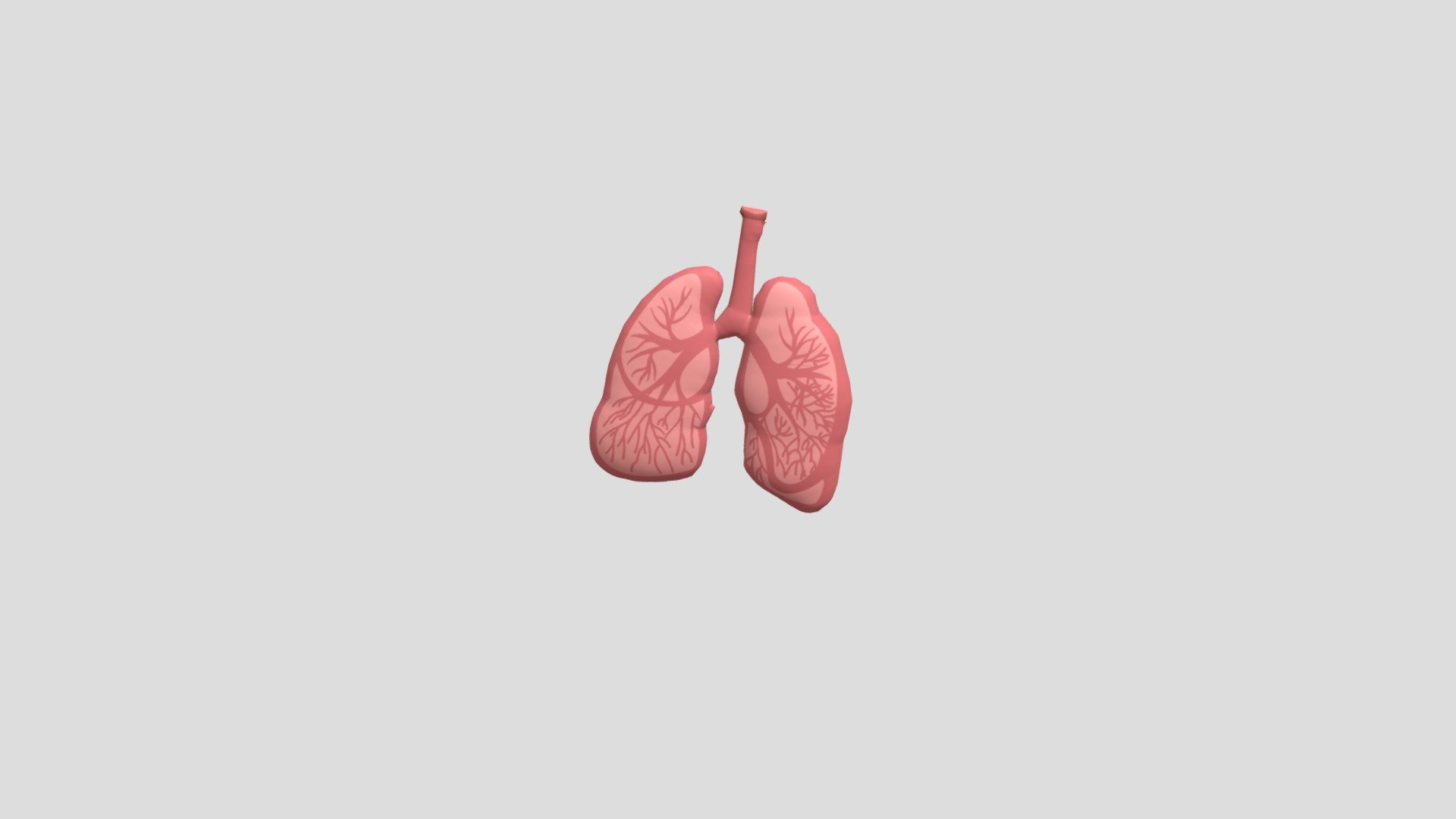 Paru Paru - Download Free 3D model by rifqimuhammad147 [311b801 ...