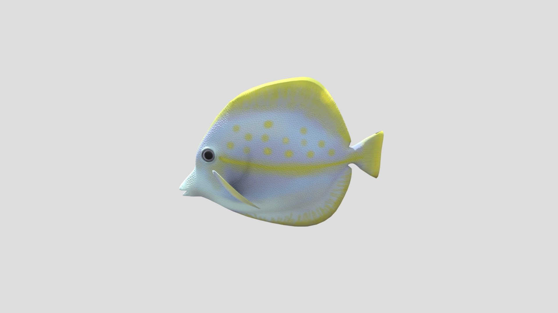 Fish - Download Free 3D model by erc-art [311bb69] - Sketchfab