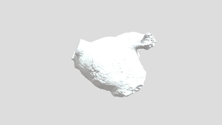 Left_atrium 3D models - Sketchfab