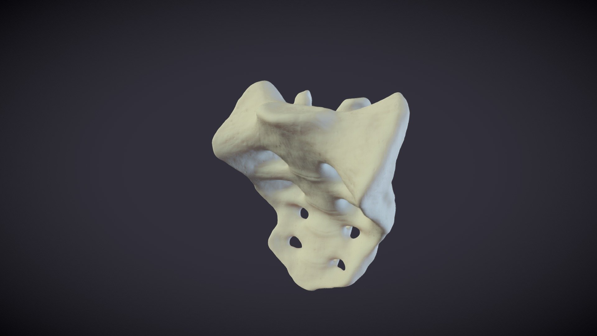 SACRIX - 3D model by a.schroedl [3129790] - Sketchfab