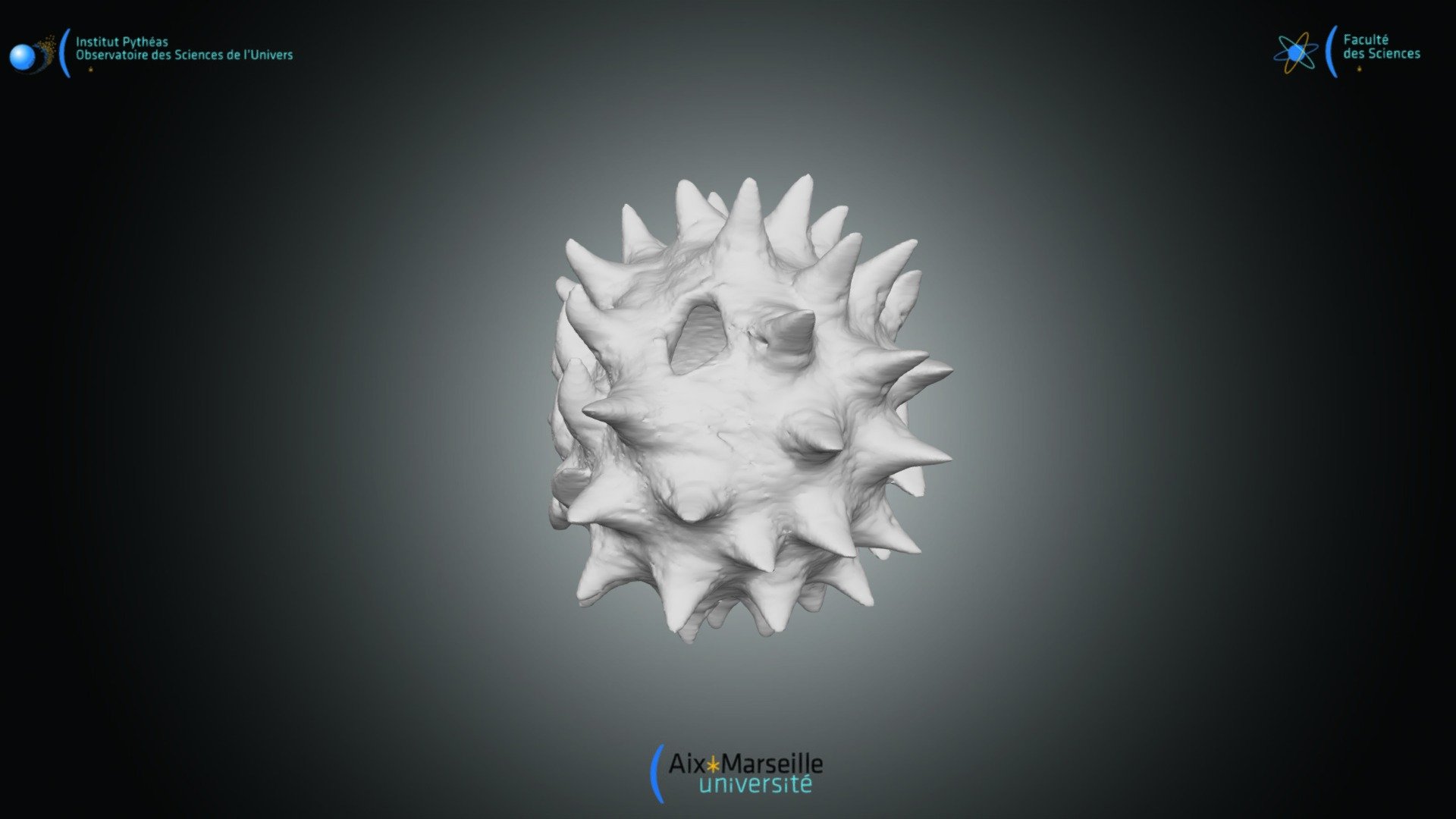 Pollen - Echinacea angustifolia - Download Free 3D model by Secteur Sciences et Technologies ...
