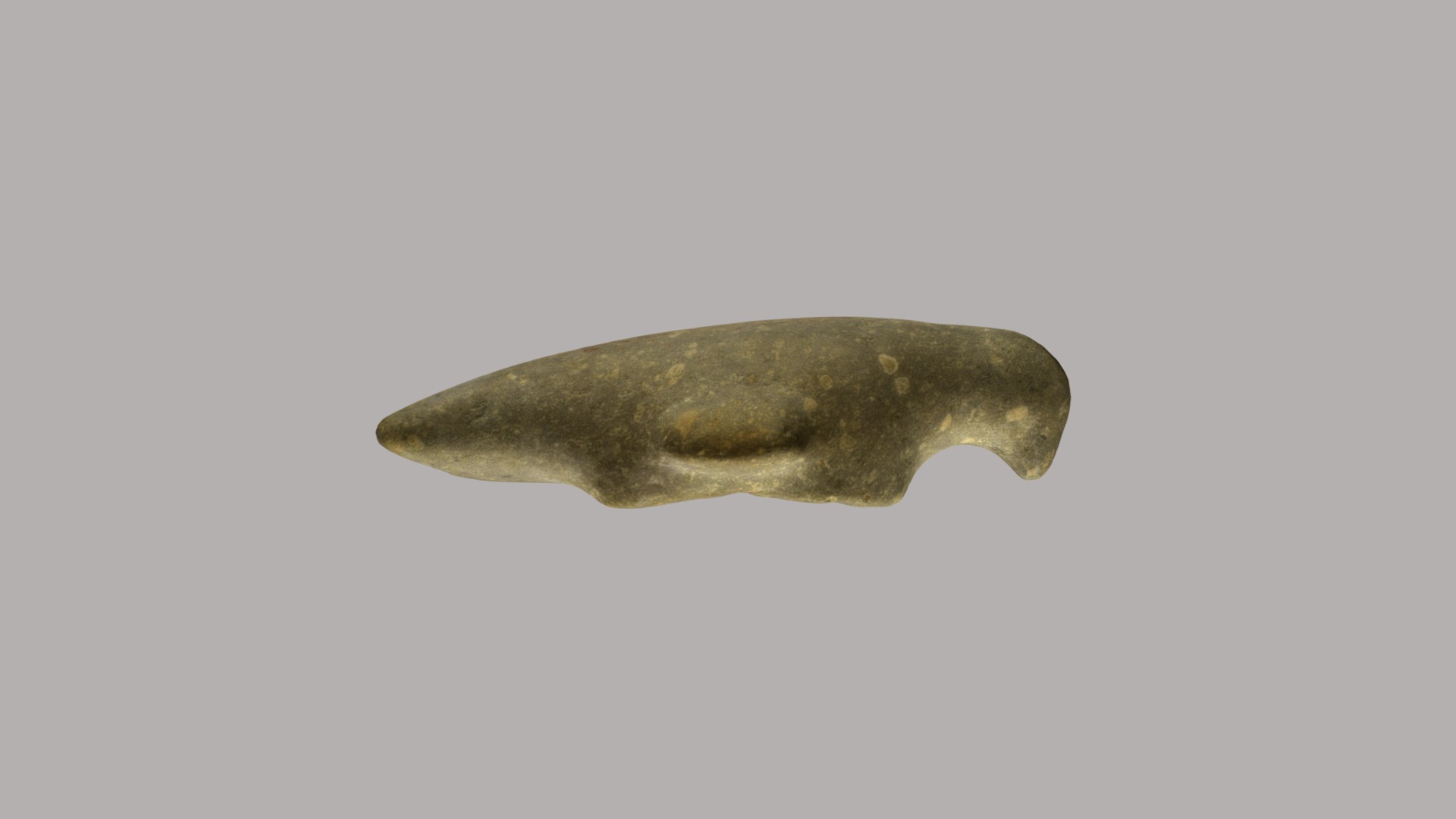 Zoólito 7576 - 3D model by Museu Arqueológico de Sambaqui de Joinville ...