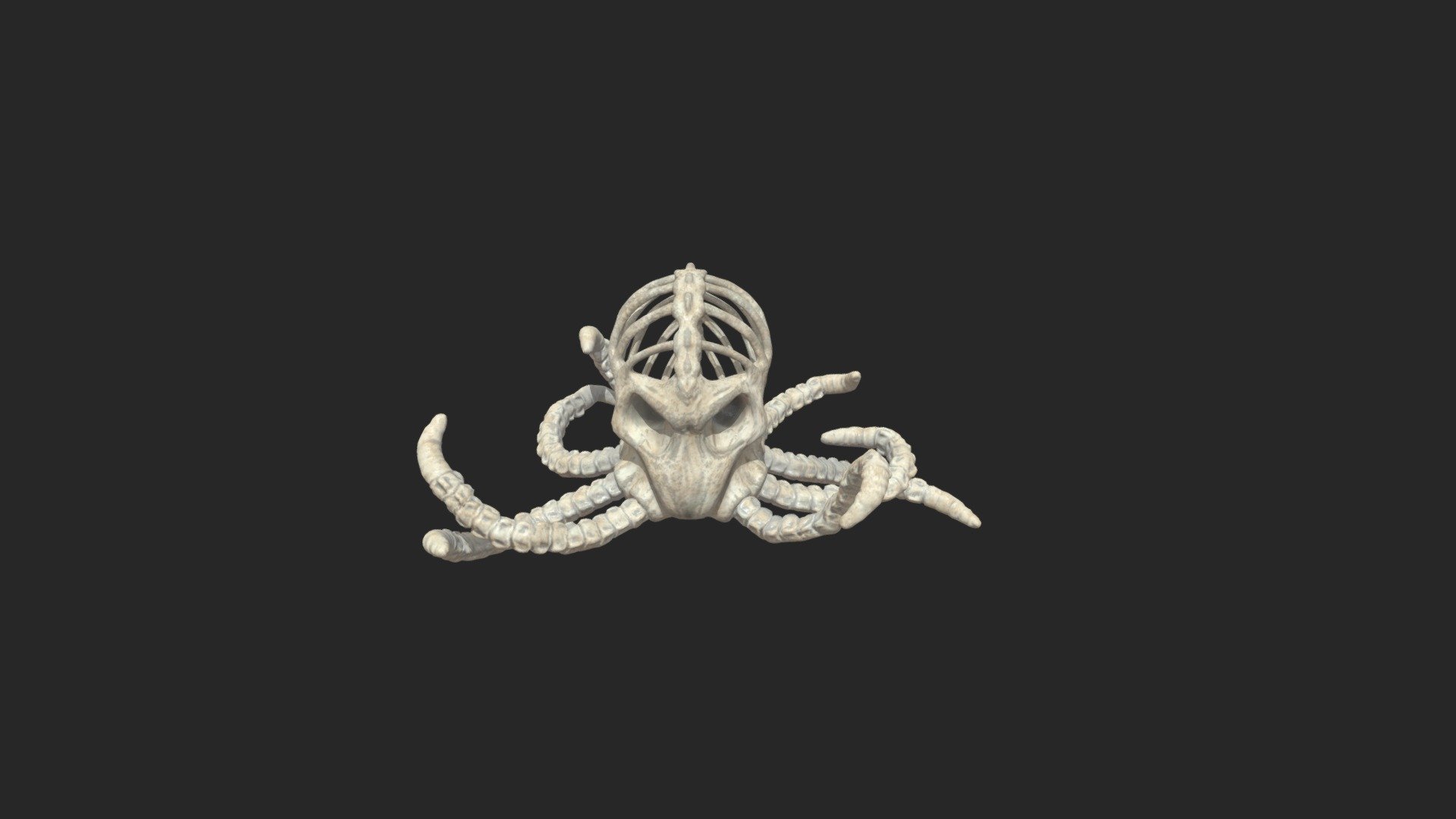 Octopus with skeleton - Download Free 3D model by Sebastian Espinoza ...