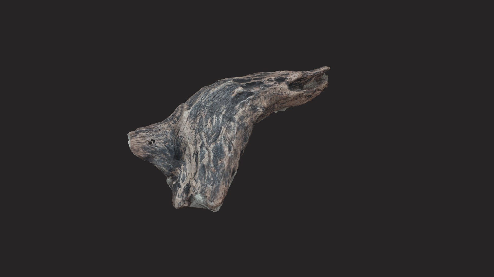 Wood Mesh - 3D model by vincentantonius [313928f] - Sketchfab