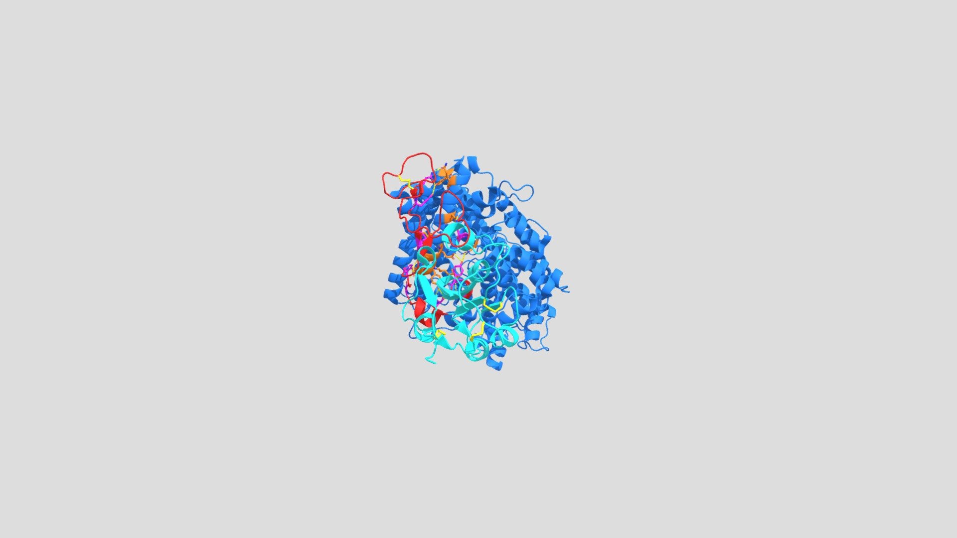 Viral spike protein and human ACE2 protein - 3D model by AndrewSummers ...
