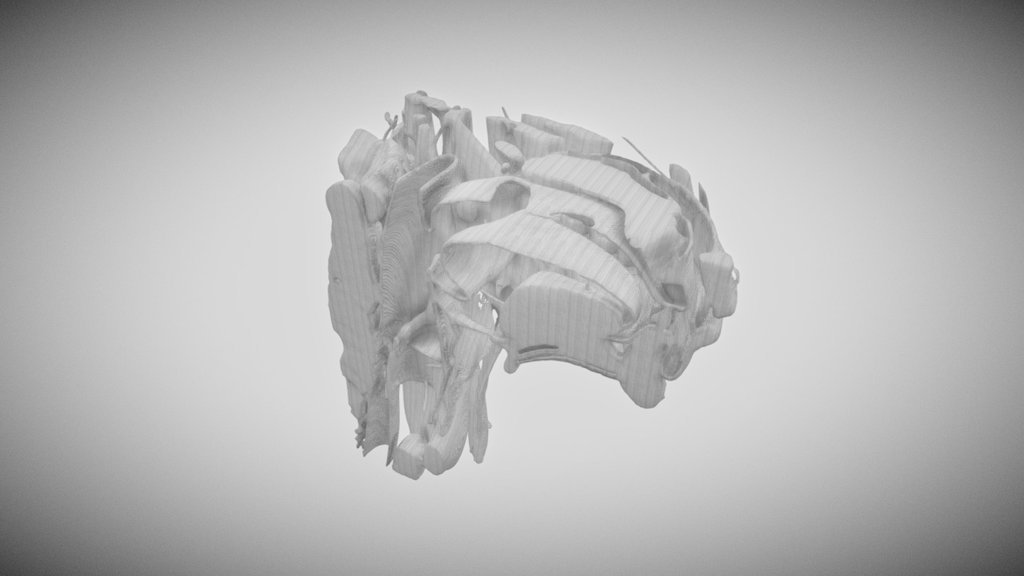 Neck - 3D model by Wellness Computational (@wellnesscomputational ...