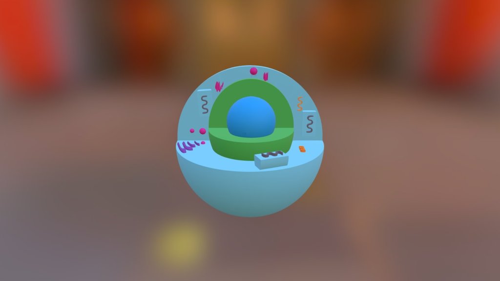Cell Model - 3D model by mountainmiddleschool (@18faith.k) [313df83 ...