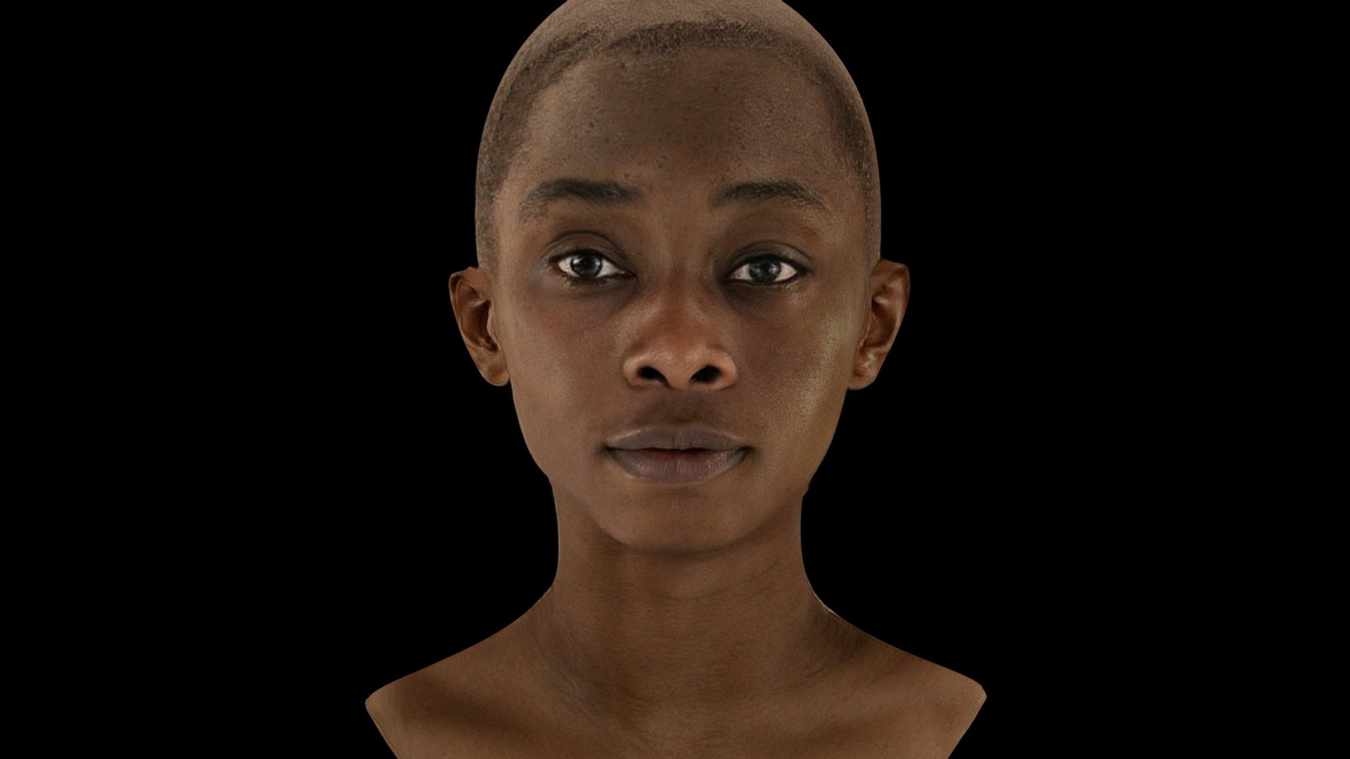 Human Dignity Collection | www.acuteline.com - Download Free 3D model ...