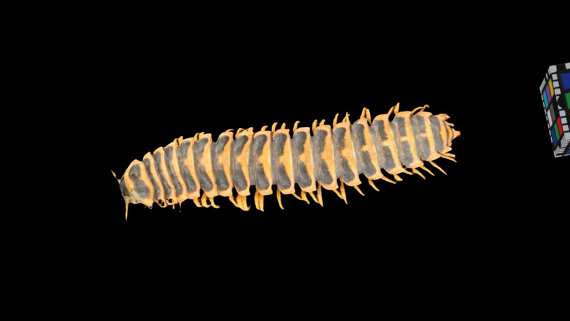 CC0 ヤットコアマビコヤスデ Yattoko Amabiko Millipede - Download Free 3D model by ffish.asia / floraZia.com ...