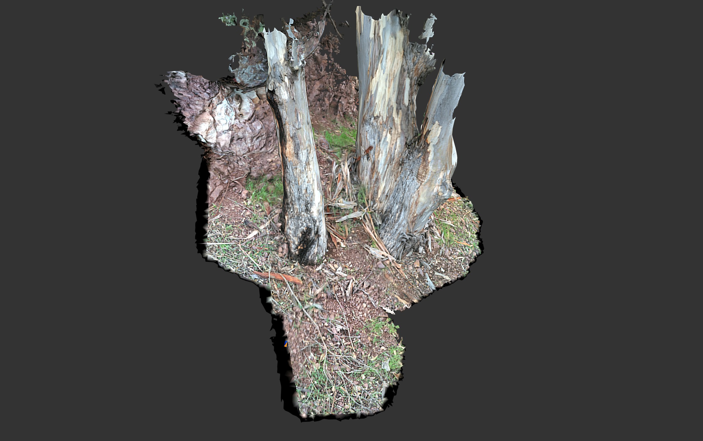 Tree trunk 2 - 3D model by ms3d [314bb74] - Sketchfab