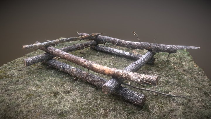 Pinetree 3D models - Sketchfab