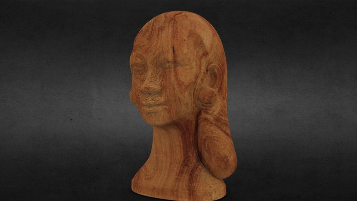 Seni 3D models - Sketchfab
