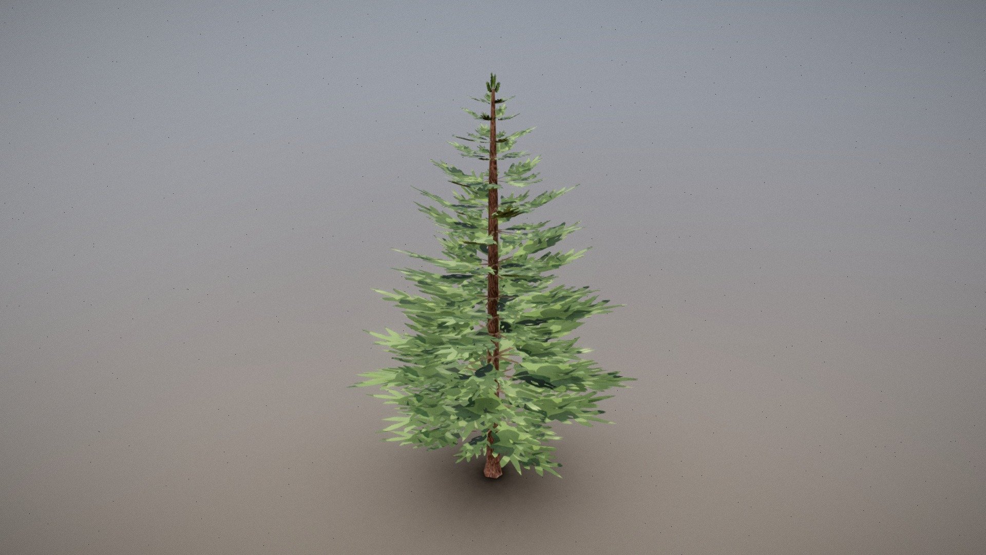 Pine Tree - 3D model by Jordan Neff (@joodoo) [3154569] - Sketchfab