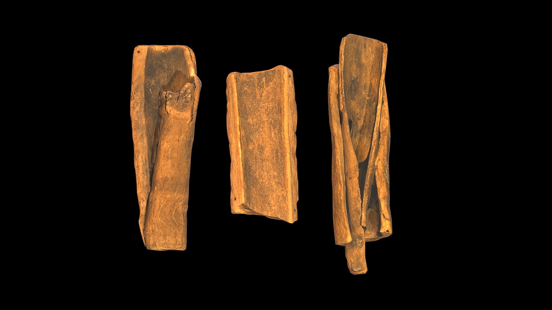 37_Cinnamon - 3D model by Teaching and Learning Development Office ...