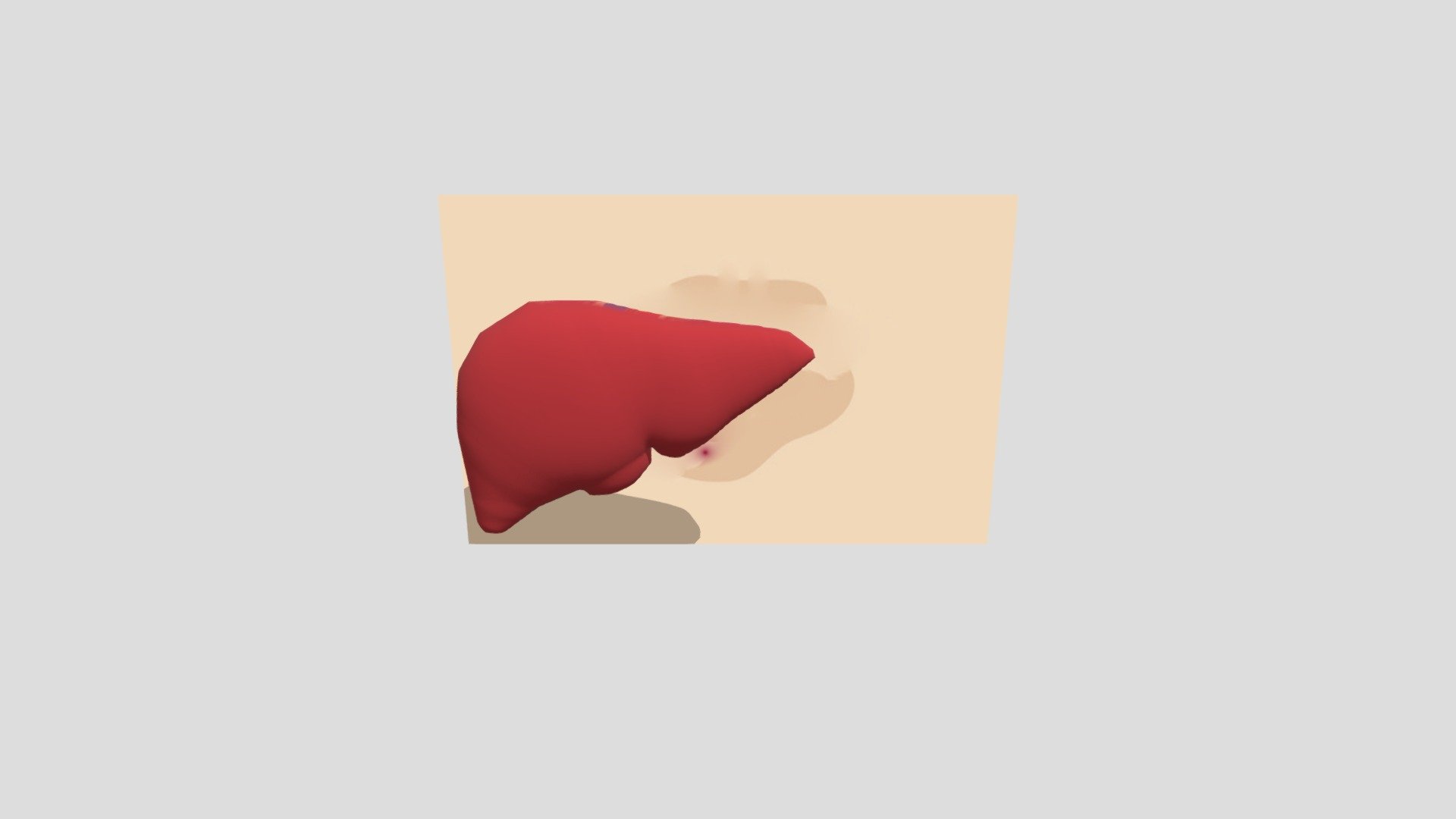 Hati_ Cartoon.jpg - Download Free 3D model by AbriSou05 [31572d0 ...