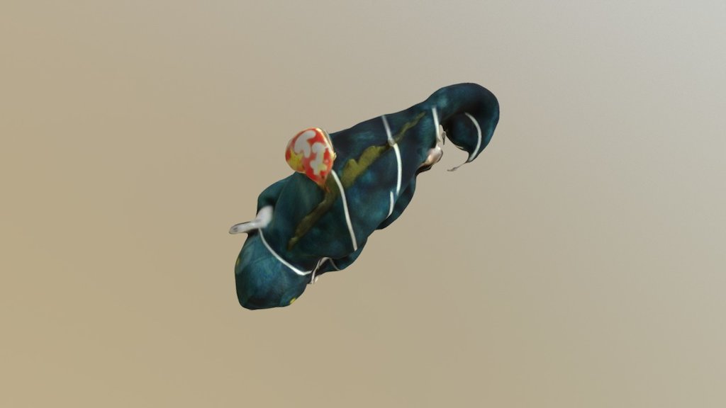 Lizard - 3D model by meredithsproul [315b8c5] - Sketchfab