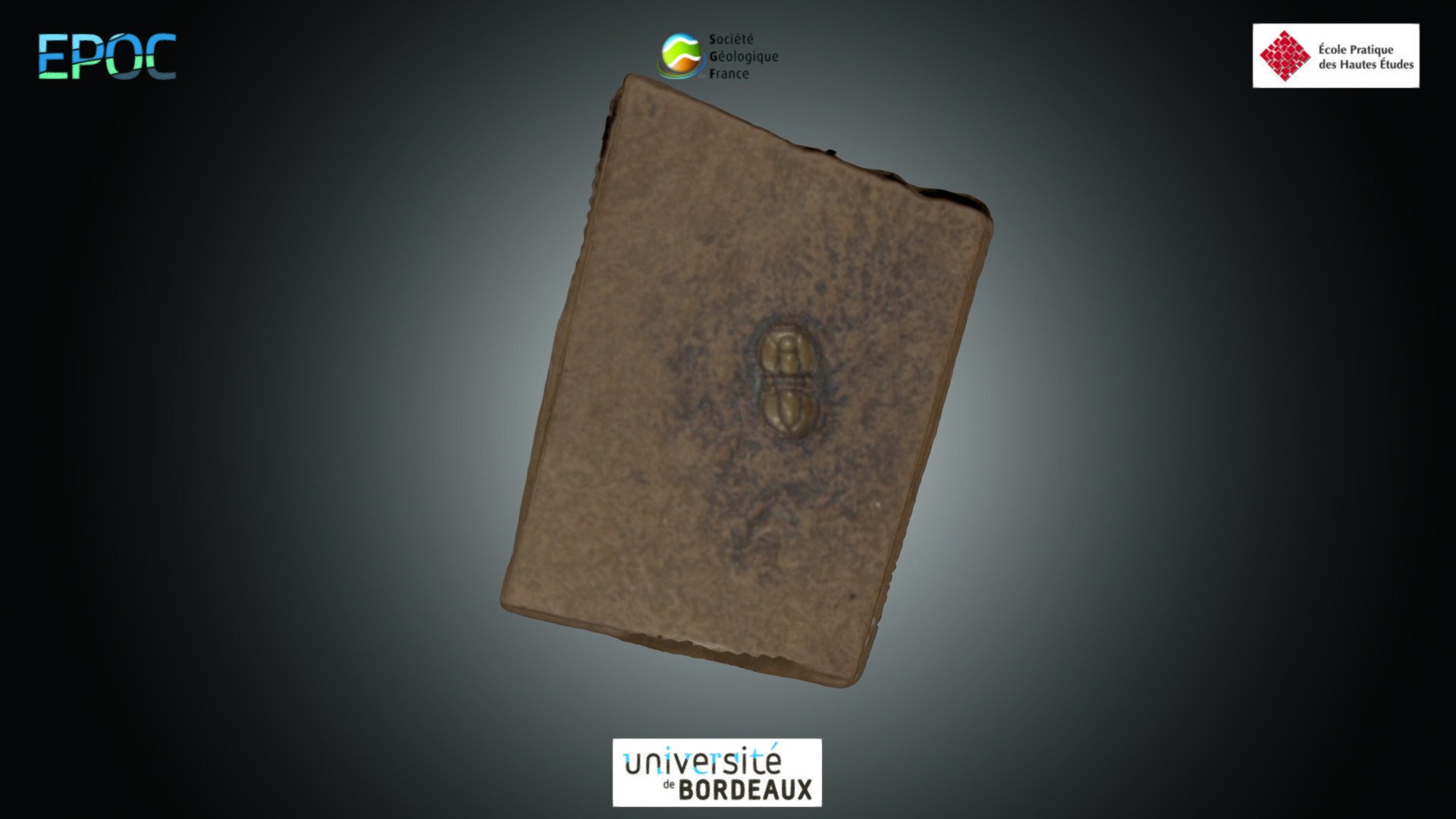 Trilobite - Peronopsis sp. - Download Free 3D model by Société ...