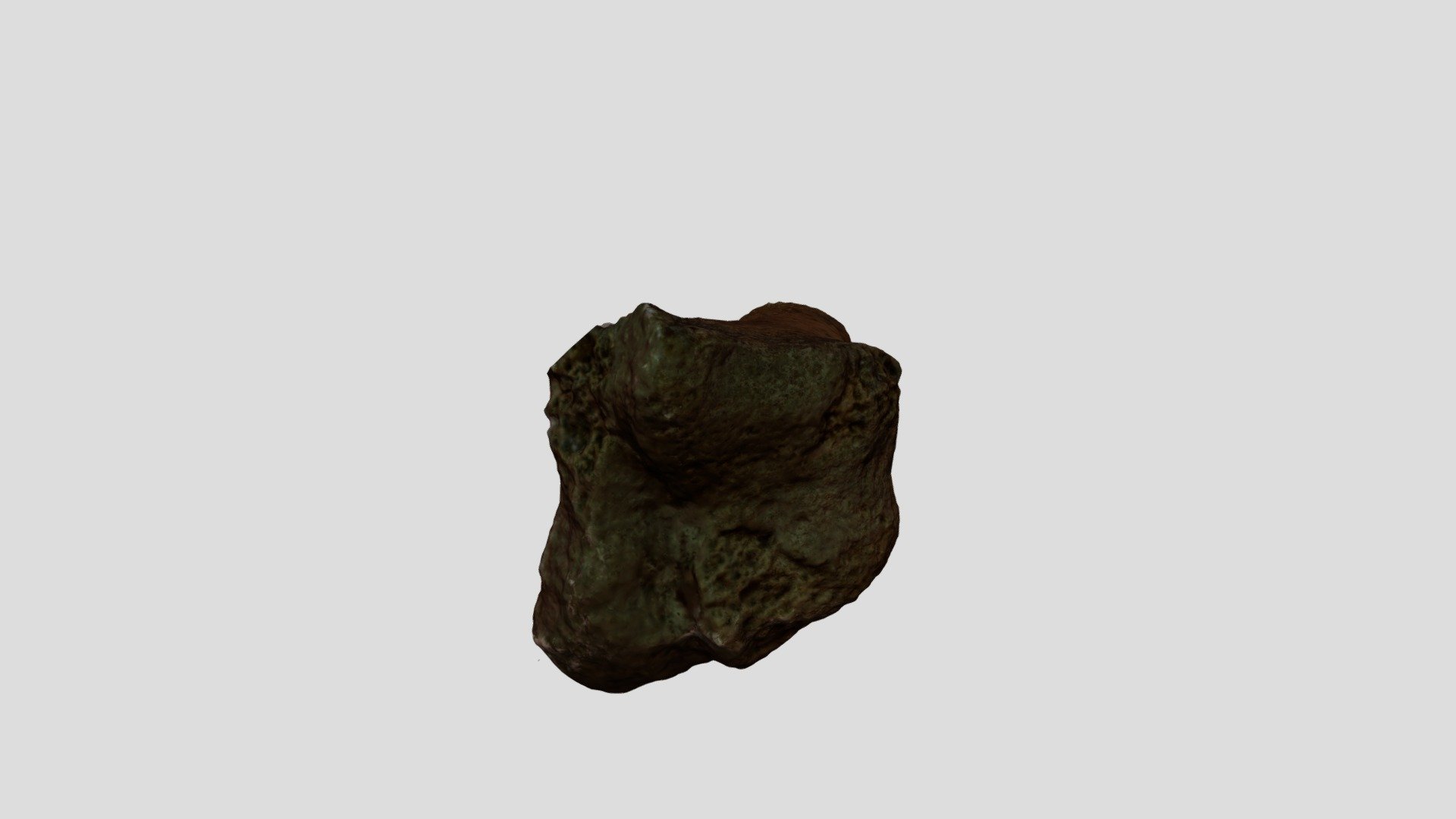 Porción Proximal Tibia Pudú - 3D model by Naytu Consultores ...