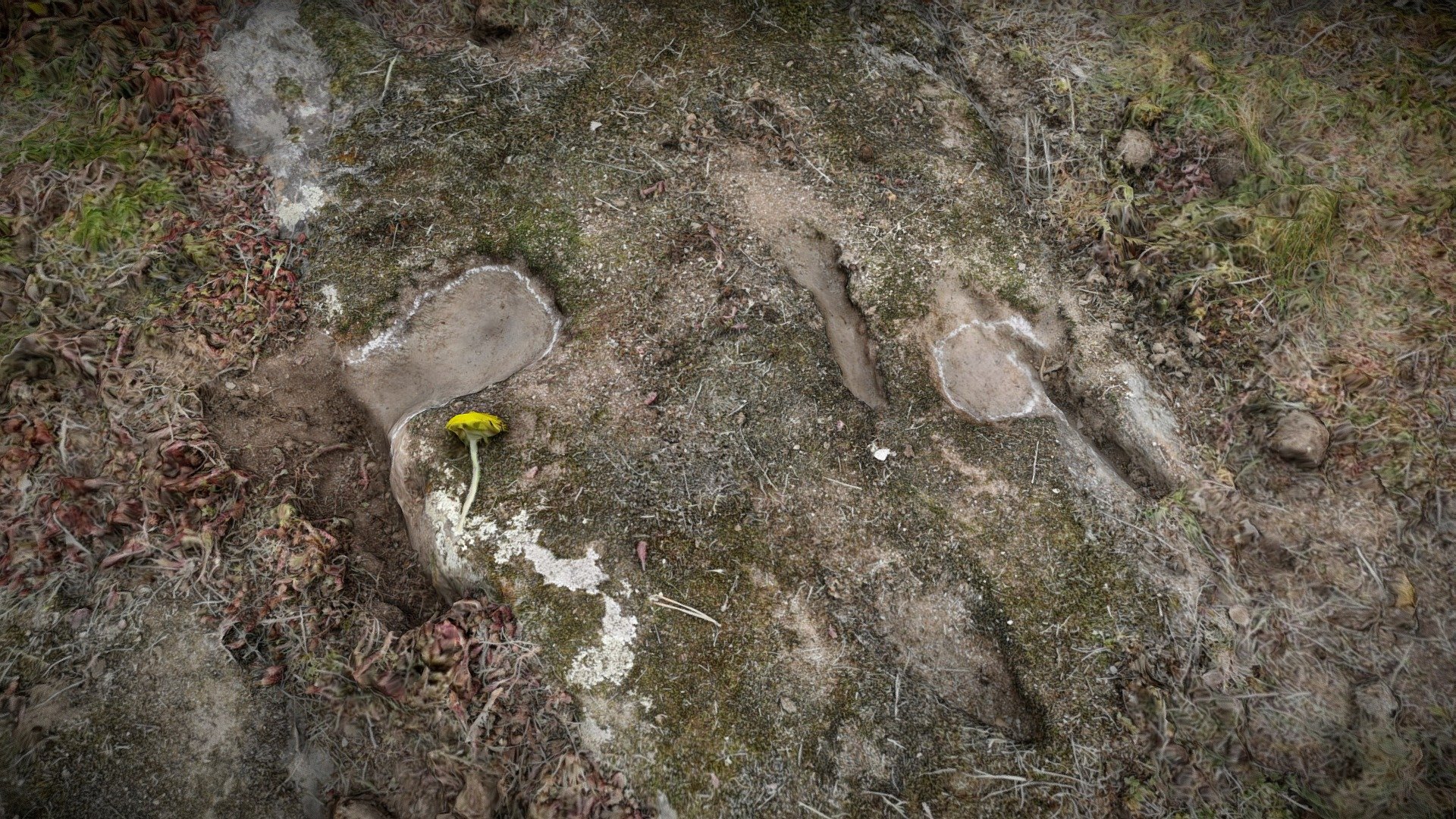 F856.01 - Viuns - Download Free 3D model by archeologya [316ec51 ...