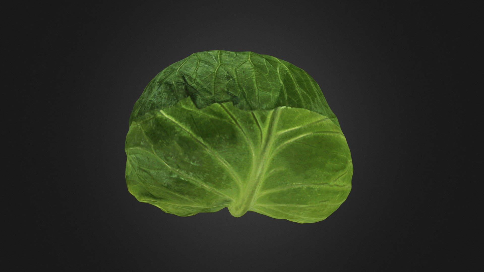 The Cabbage-2 - 3D model by amazingdesign [3177318] - Sketchfab