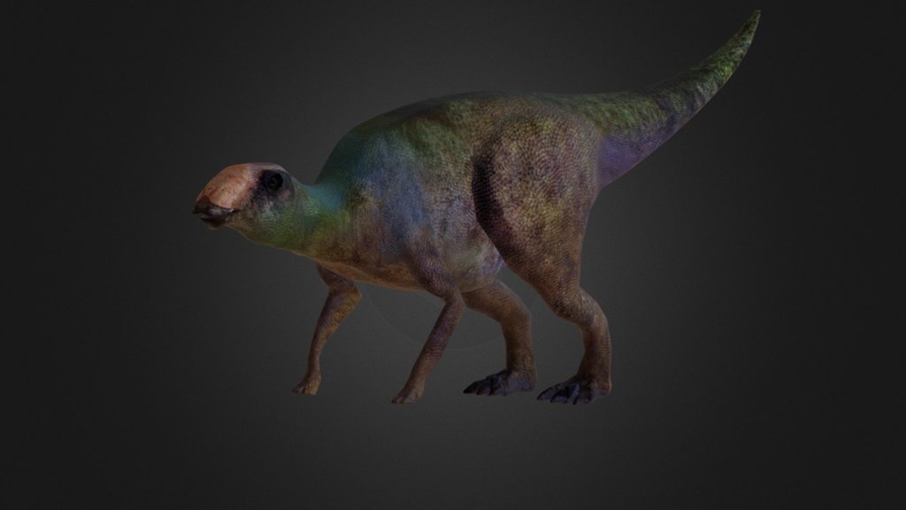 young Hadrosaur - 3D model by pablopax [318f22c] - Sketchfab