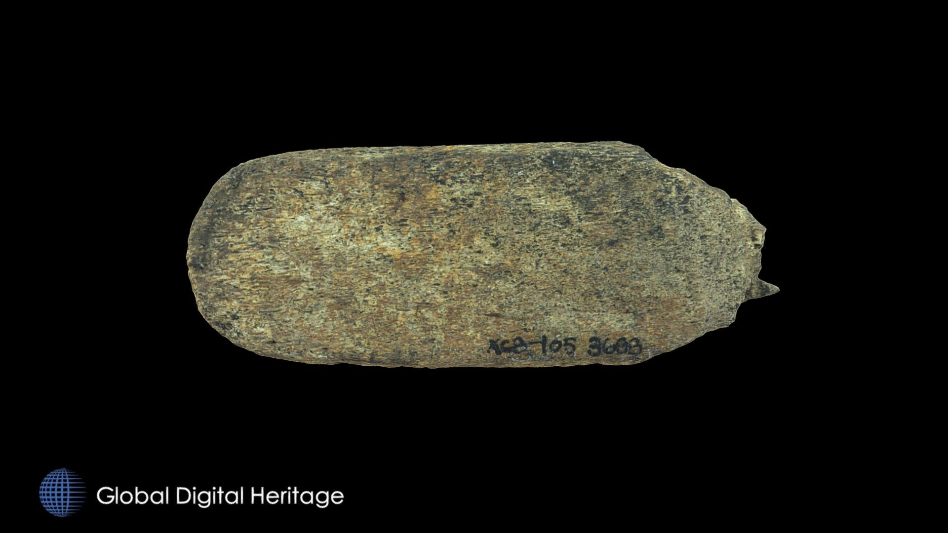 Whale Bone Wedge. XCB-105-3688 - Download Free 3D model by Global ...