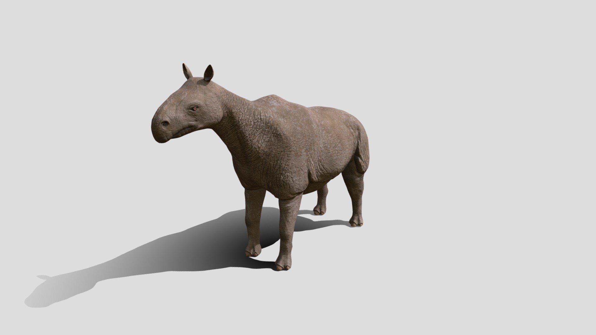 Paraceratherium - 3D model by haydenhoes1 [319f801] - Sketchfab
