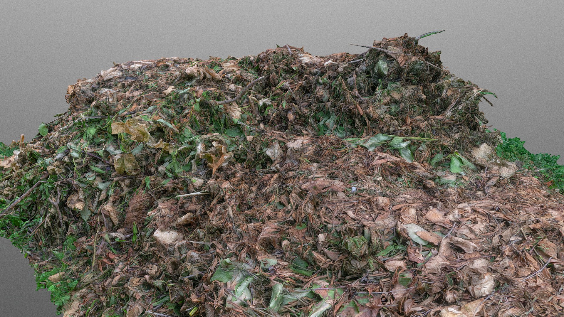 Cut branches and leaves heap - Download Free 3D model by matousekfoto ...