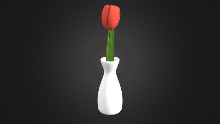 Tulip-flower 3D models - Sketchfab