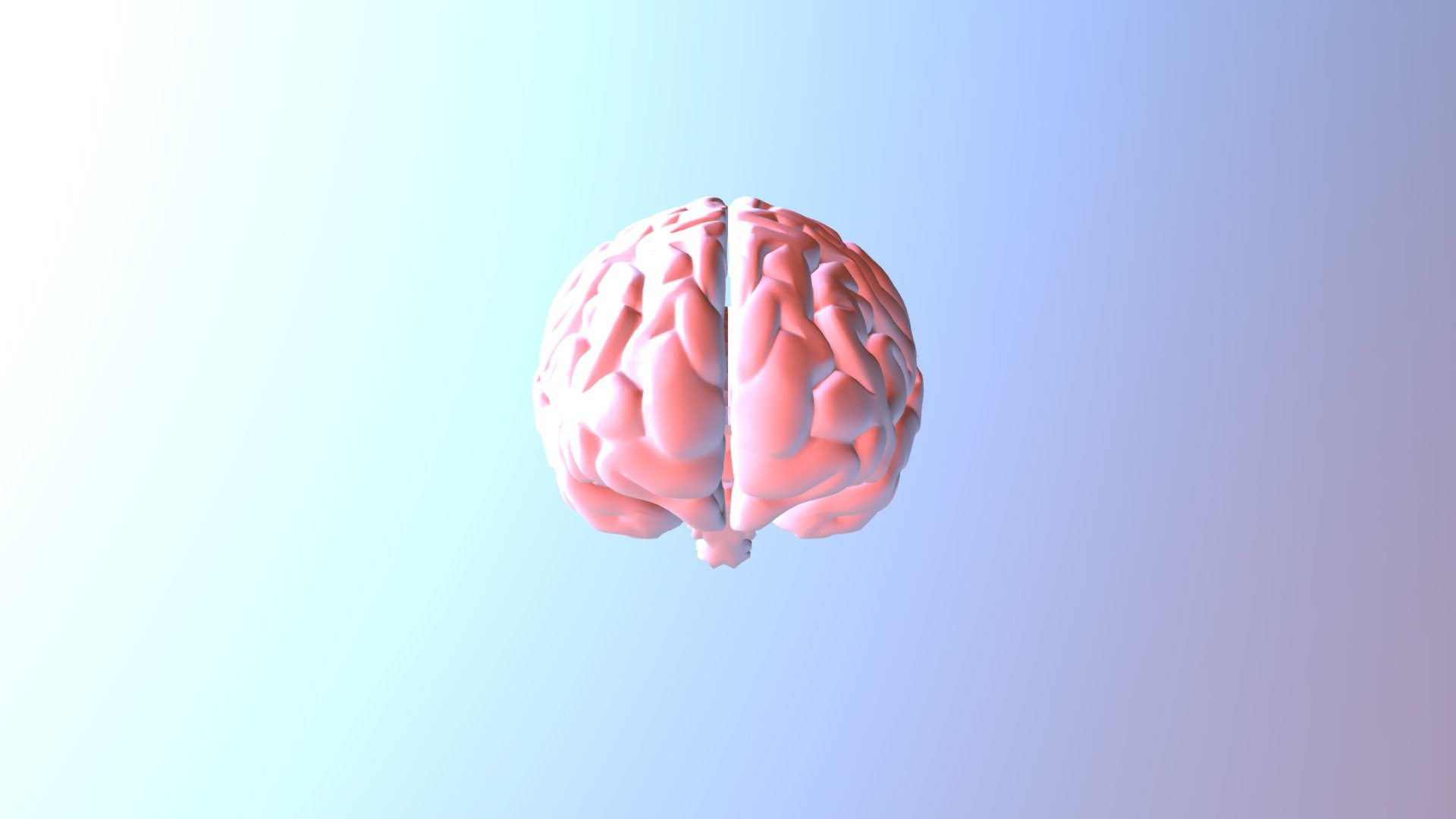 Brain - 3D model by taylorcarberry [31a9553] - Sketchfab