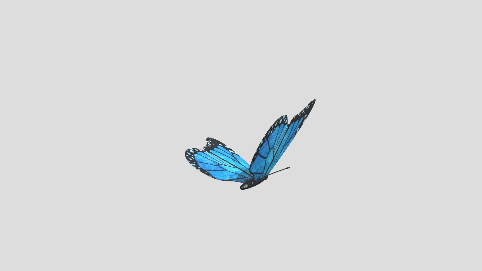 Butterfly - 3D model by iriaselas [31ab98d] - Sketchfab