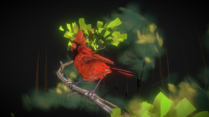 Songbird 3D models - Sketchfab