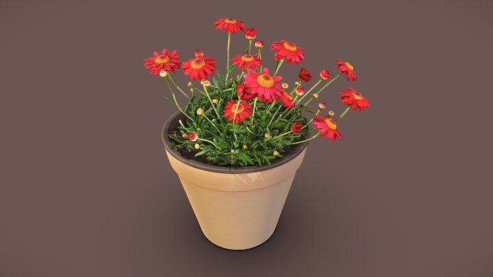 Flowers 3D models - Sketchfab