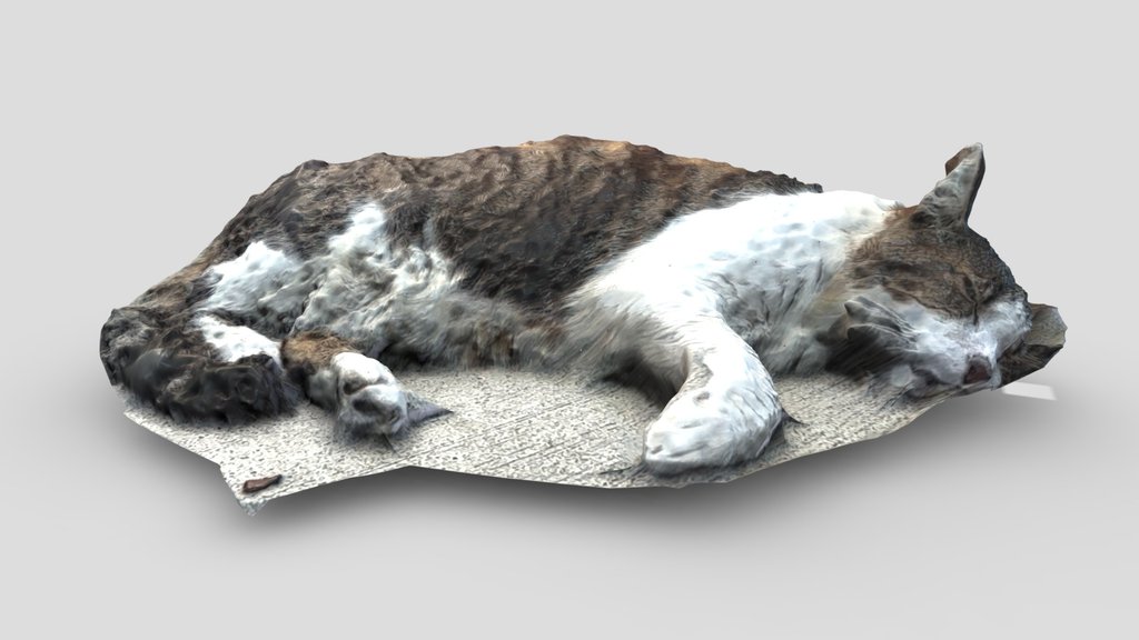 Cats - A 3D model collection by saraquel1973 - Sketchfab