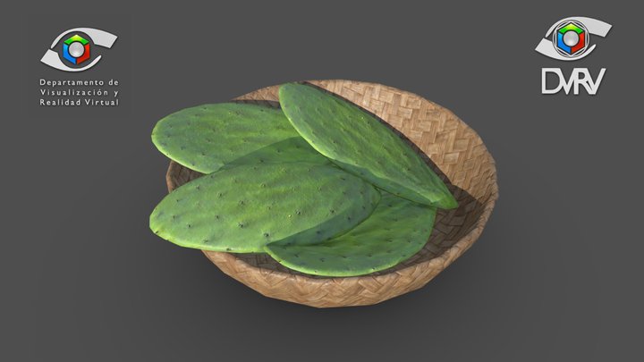 Nopal 3D models - Sketchfab