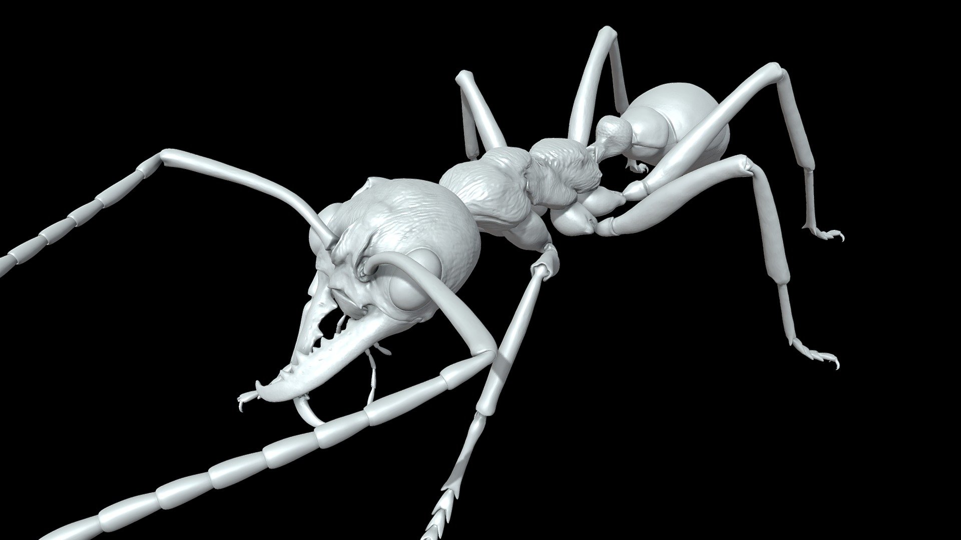 Myrmecia - 3D model by tunosemi [31c3bd3] - Sketchfab