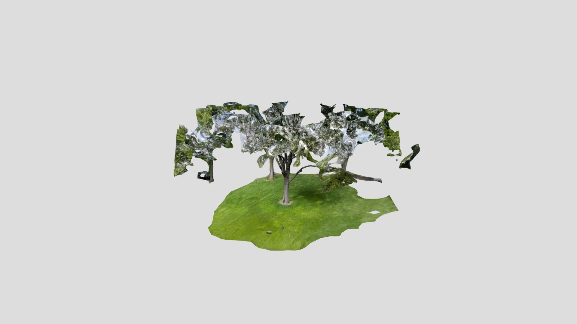 Main tree 338 - Download Free 3D model by sandrique [31c4e45] - Sketchfab