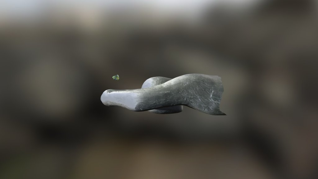 Head_model - 3D model by Bilottij17 [31c5577] - Sketchfab