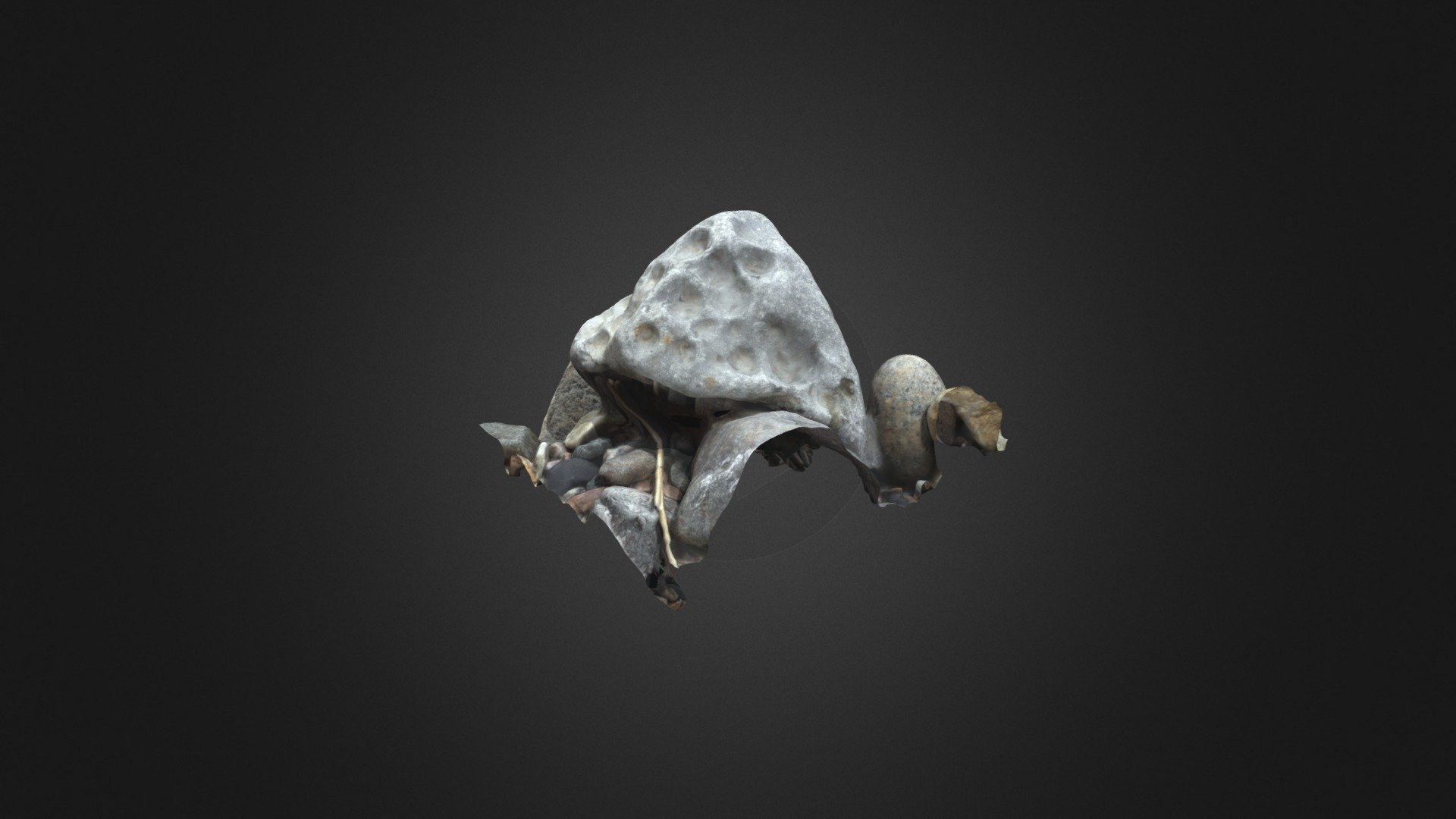 Pitted stone_02 - Download Free 3D model by T. Ljunggren (@ljunggren ...
