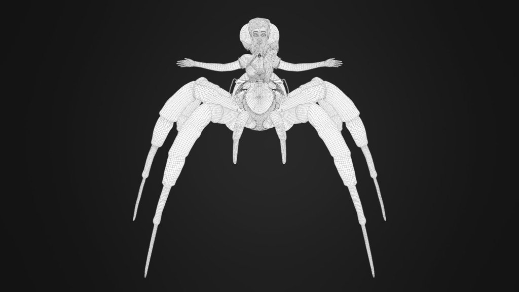Spider Queen Wireframe - Download Free 3D model by KateBorck [31ce68a ...