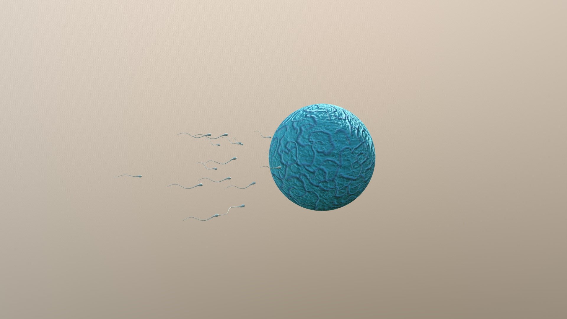 Fertilization - 3D model by Vida Systems (@objects1) [31d753d] - Sketchfab