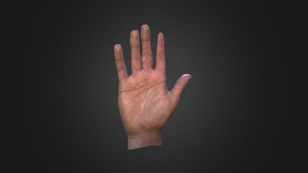 Palm of a hand - Download Free 3D model by Fuel3D [31da5a7] - Sketchfab