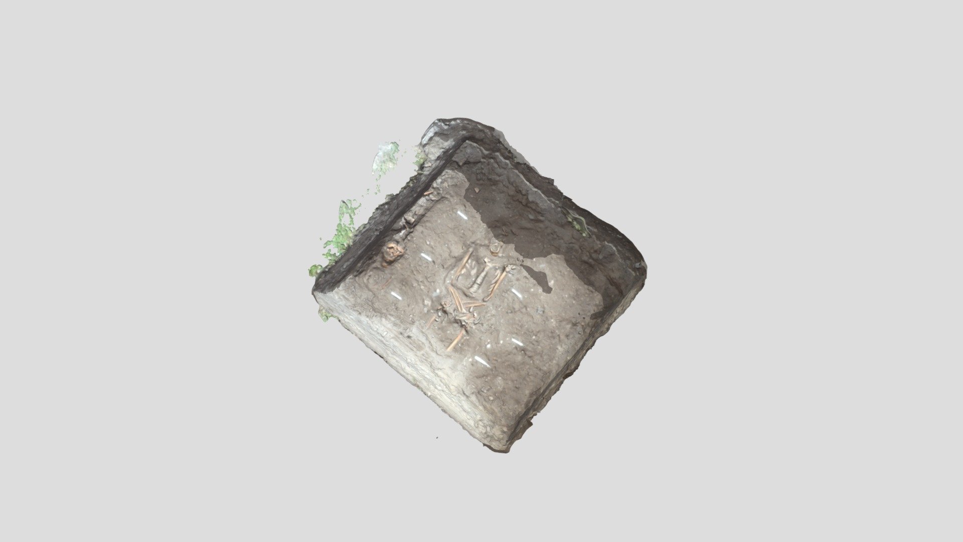 23-788 Tongerlo Fase 2 _ Skelet 6-7-8 - 3D model by Condor ...