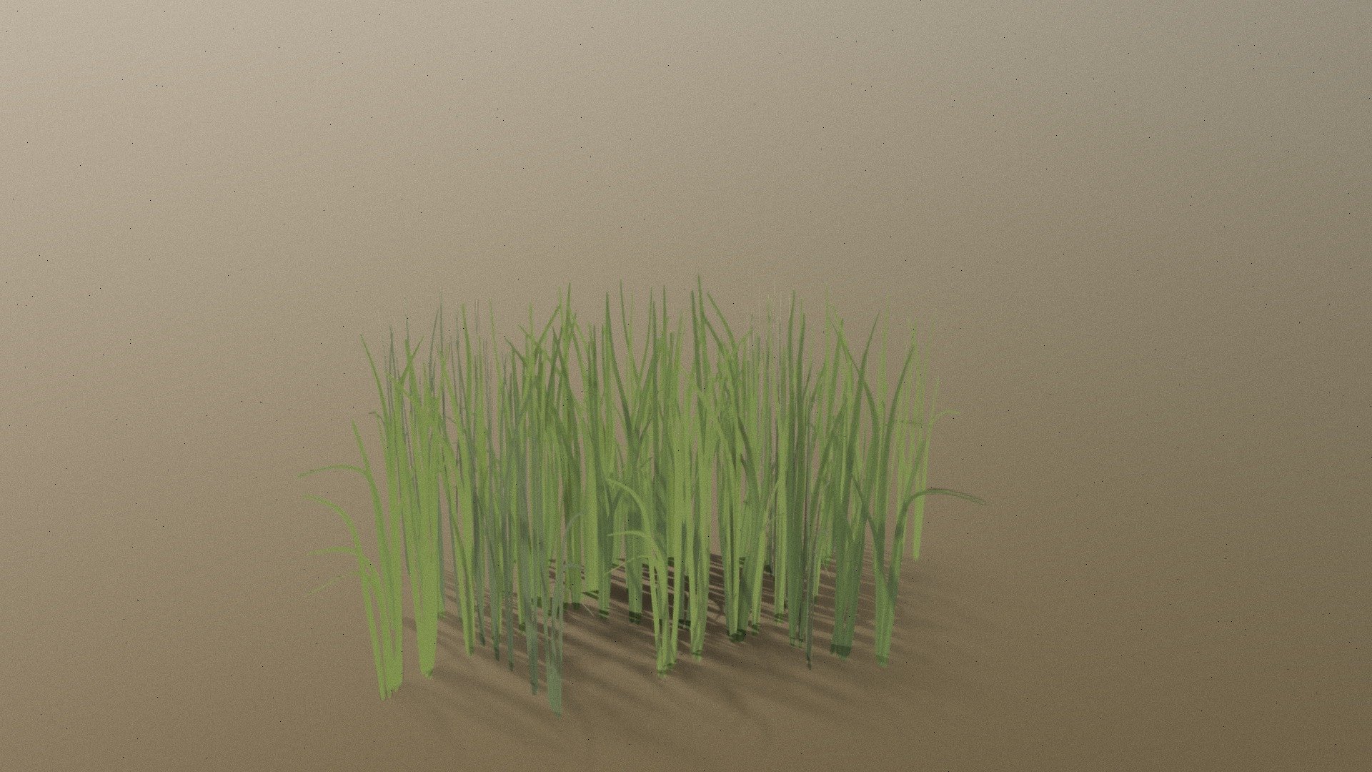 grass_00 - Download Free 3D model by c.gleison [31e66af] - Sketchfab