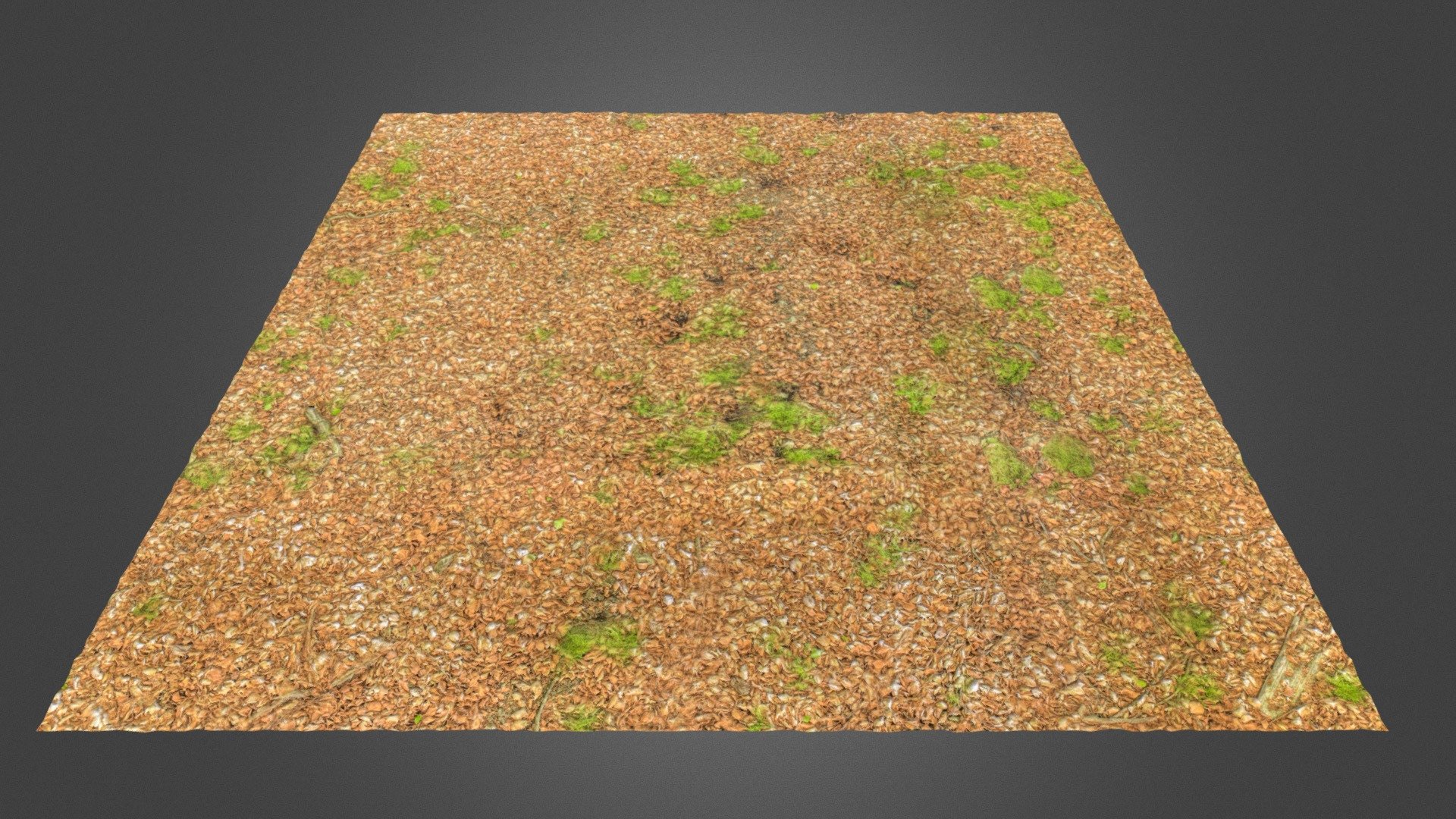Forest Ground IX - 3D model by ProjectNature [31efe46] - Sketchfab