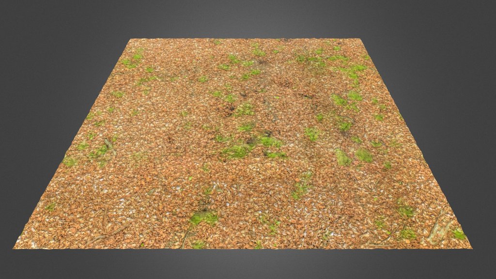 deciduous Forest Ground Materials - A 3D model collection by ...
